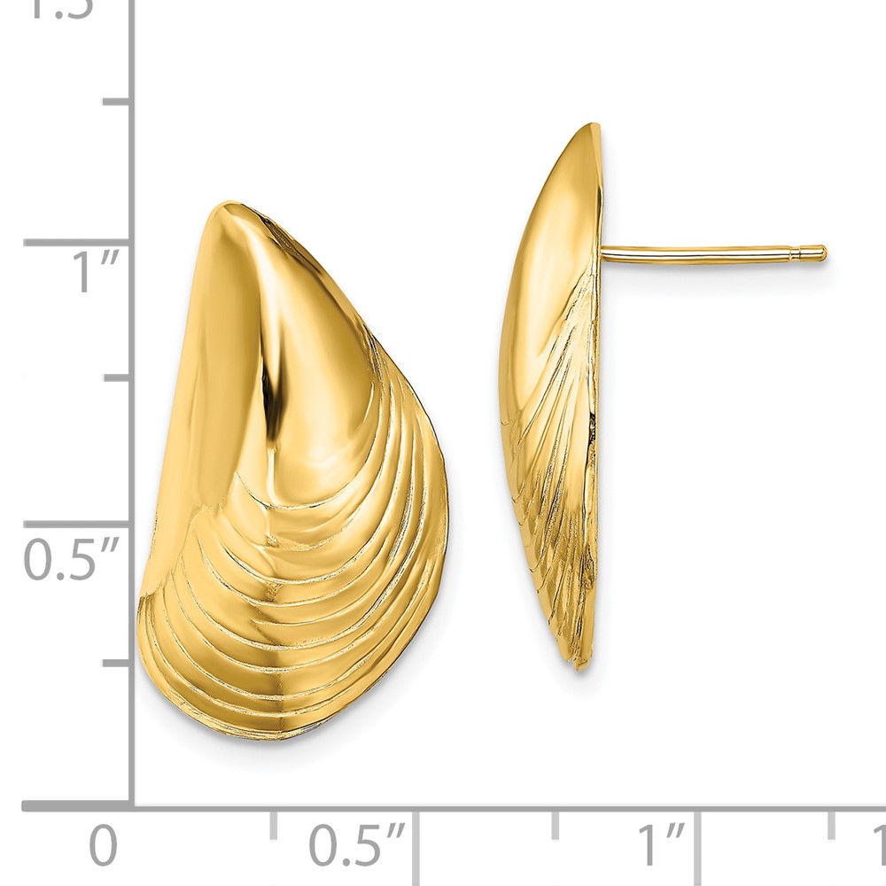 14K Polished Mussel Shell Post Earrings | J.C.’s Jewelry & Repair